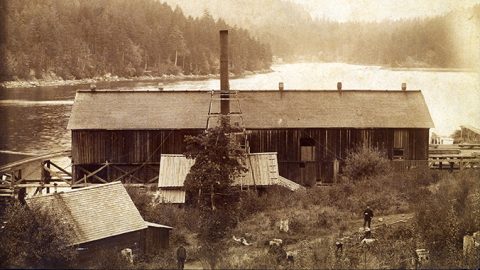 Will Sutton; Ucluelet pioneer 1891 – 1914 - Ucluelet and Area ...